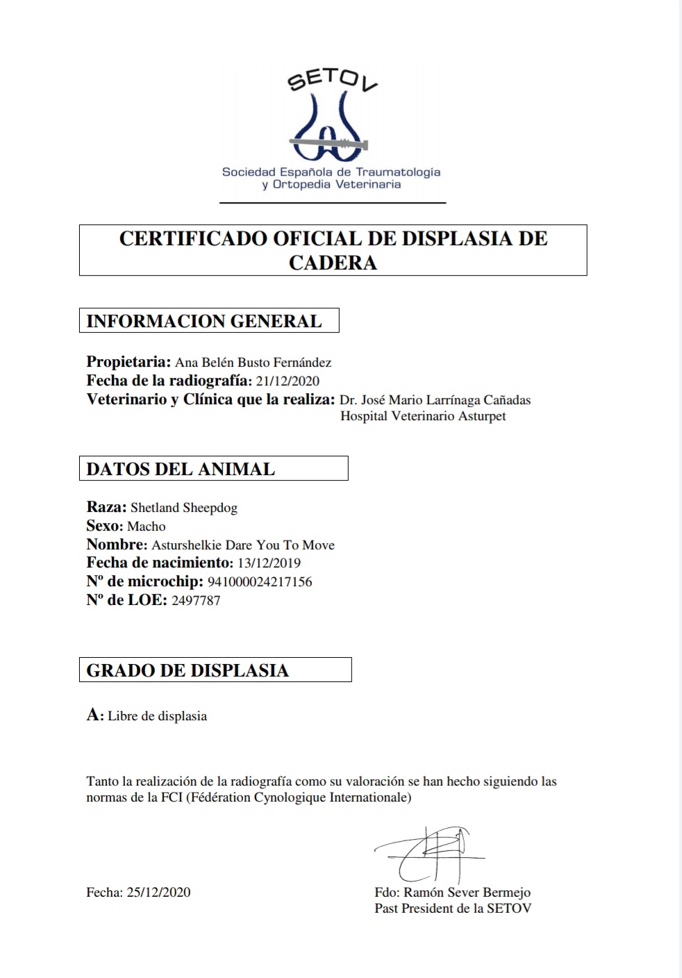 ¡Rodolf completa sus test! - Asturshelkie Shelties